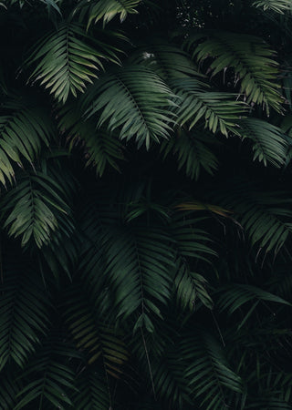 Anna University R2025 New Syllabus books – Technical Publications